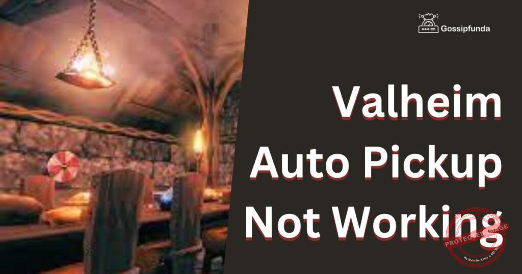 Valheim Auto Pickup Not Working Reasons And Fixes