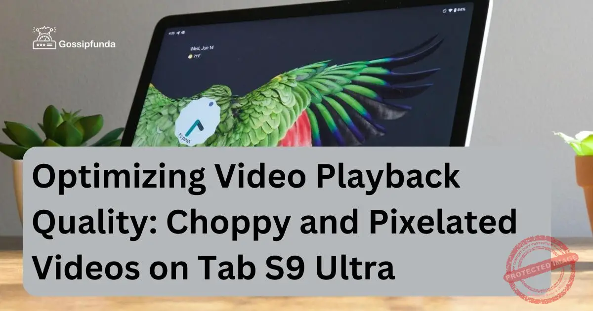 Optimizing Video Playback Quality
