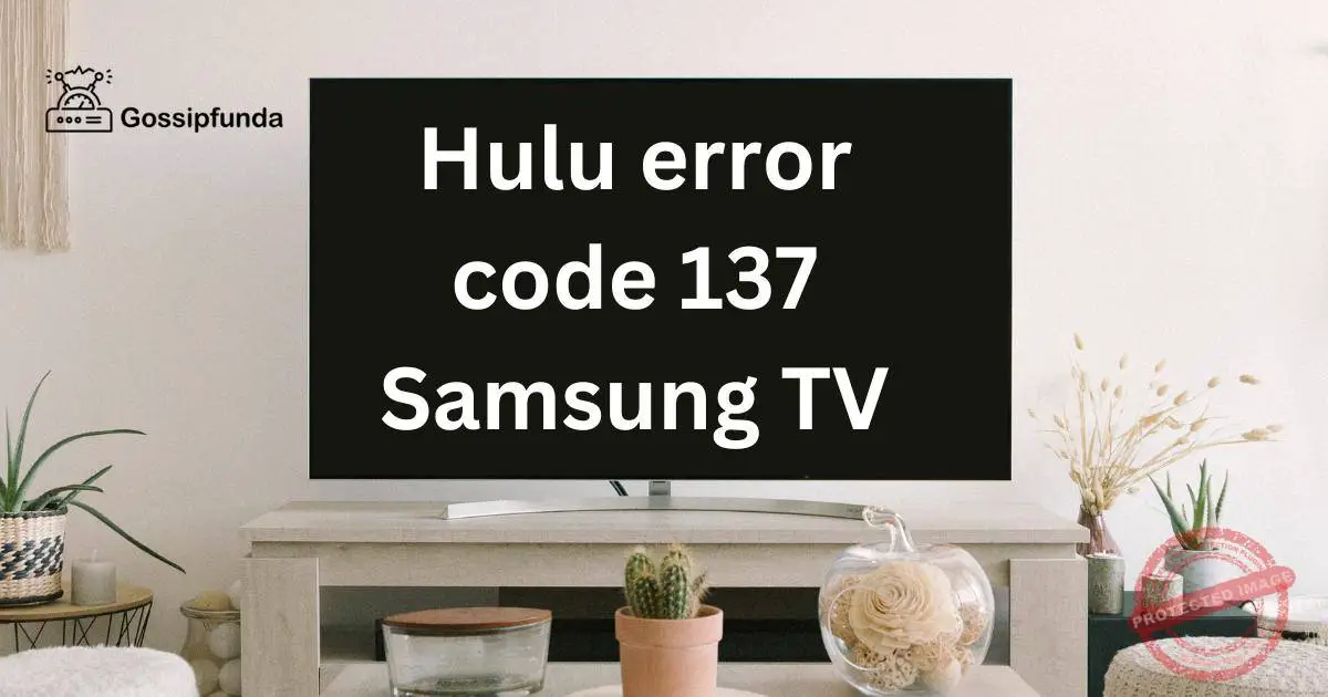 Hulu Error Code 137 Samsung TV Gossipfunda